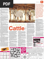 Two Legs or One | PDF