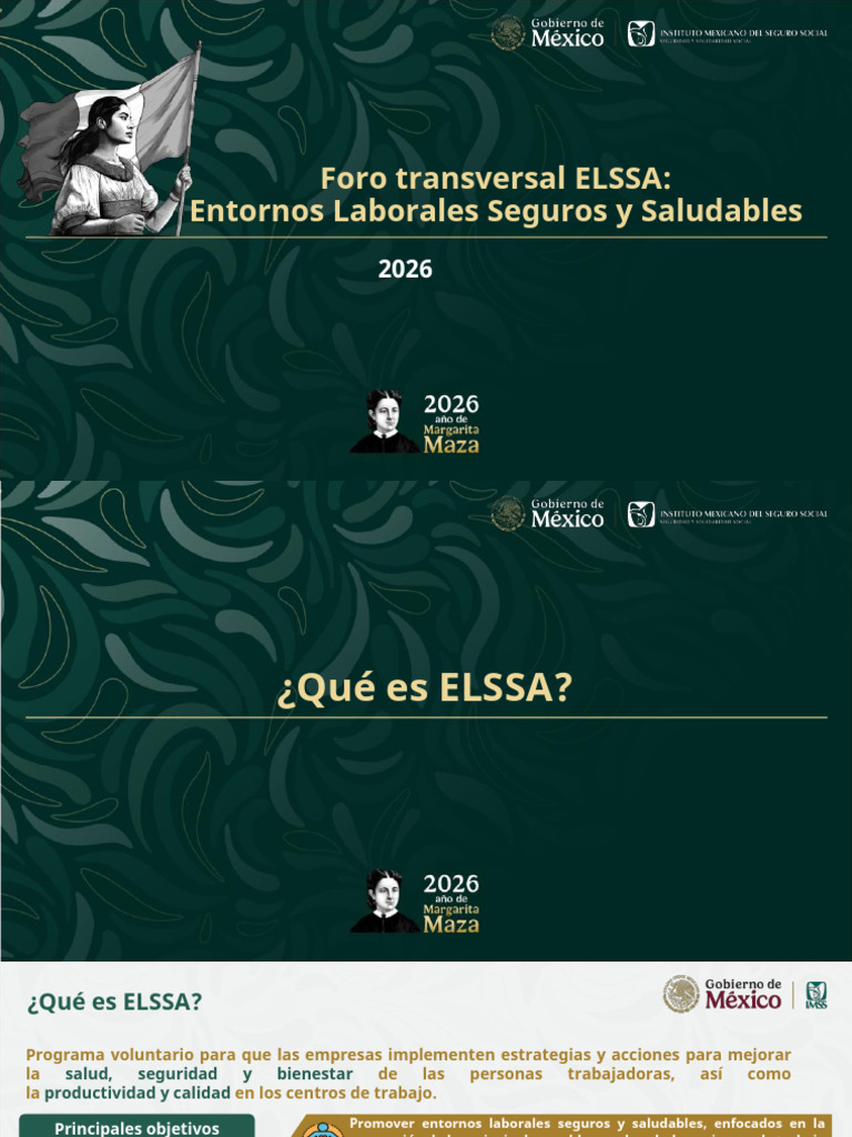 Veracruz Sur - ELSSA Foros Transversales - 2026 | PDF