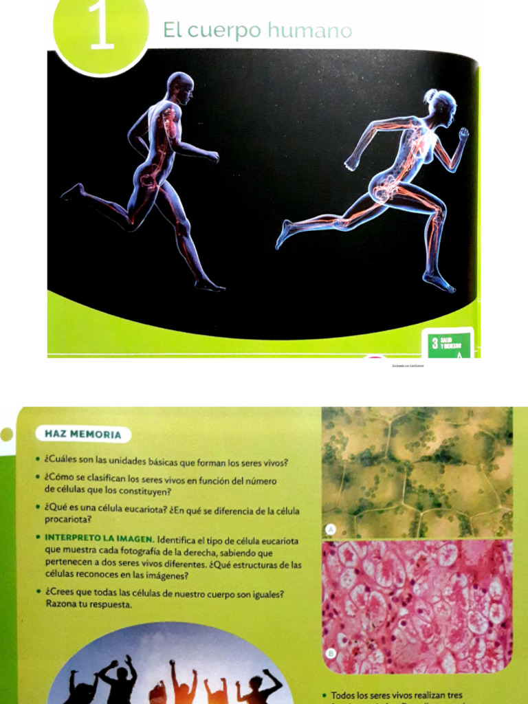 1.EL CUERPO HUMANO (1) (1) | PDF
