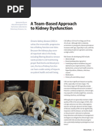 IRIS CKD Staging Guide for Dogs and Cats | PDF | Chronic Kidney Disease ...