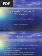 Frog Osteology: Disarticulated Skeleton Study | PDF | Vertebra ...