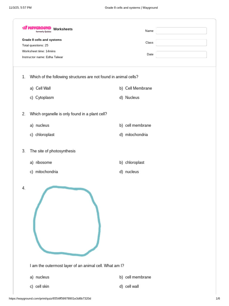 Grade 8 Cells and Systems - Wayground | PDF | Cell (Biology) | Biology