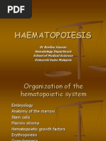 HEMATOLOGY 1 Hematopoiesis Notes 1 | PDF | Bone Marrow | Haematopoiesis