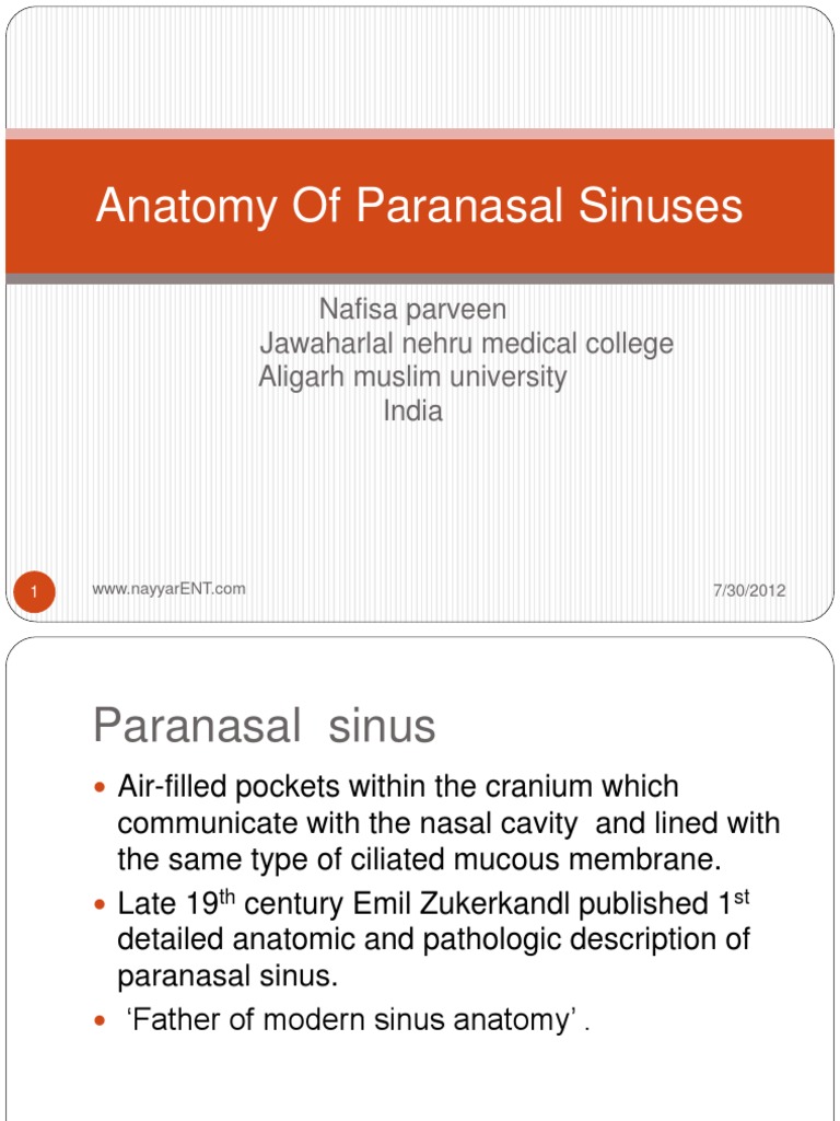Anatomy of Paranasal Sinuses | PDF | Skeletal System | Human Head And Neck