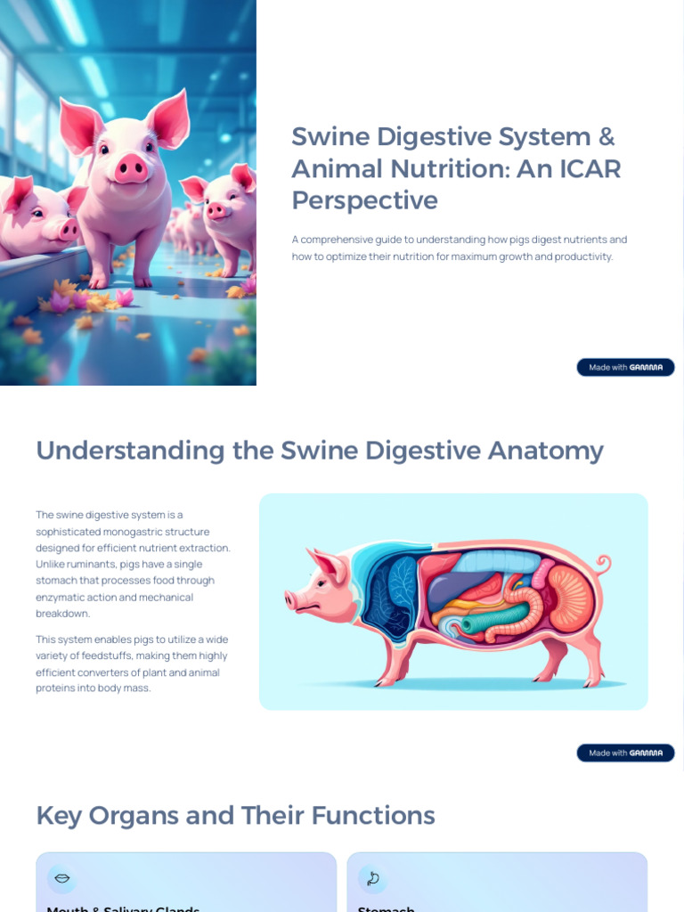 Swine Digestive System and Animal Nutrition An ICAR Perspective | PDF ...