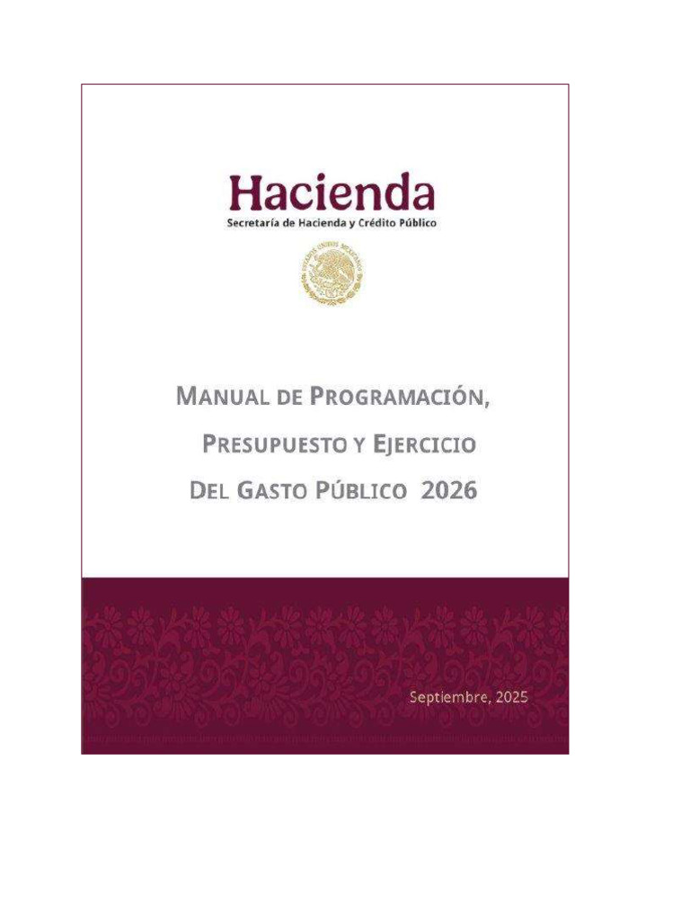 Manual de Programacion Presupuesto y Ejercicio 2026 | PDF | Presupuesto ...
