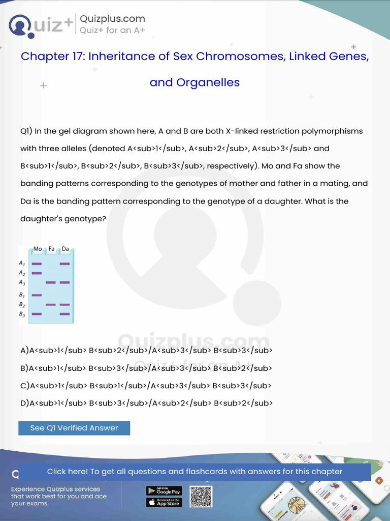 In The Gel Diagram Shown Here A and B Are Both Xlinked Restriction ...