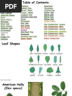 Tennessee Tree Identification Guide | PDF | Trees | Oak