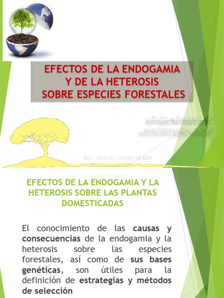 Endogamia y Heterosis | PDF | Endogamia | Dominancia (Genética)