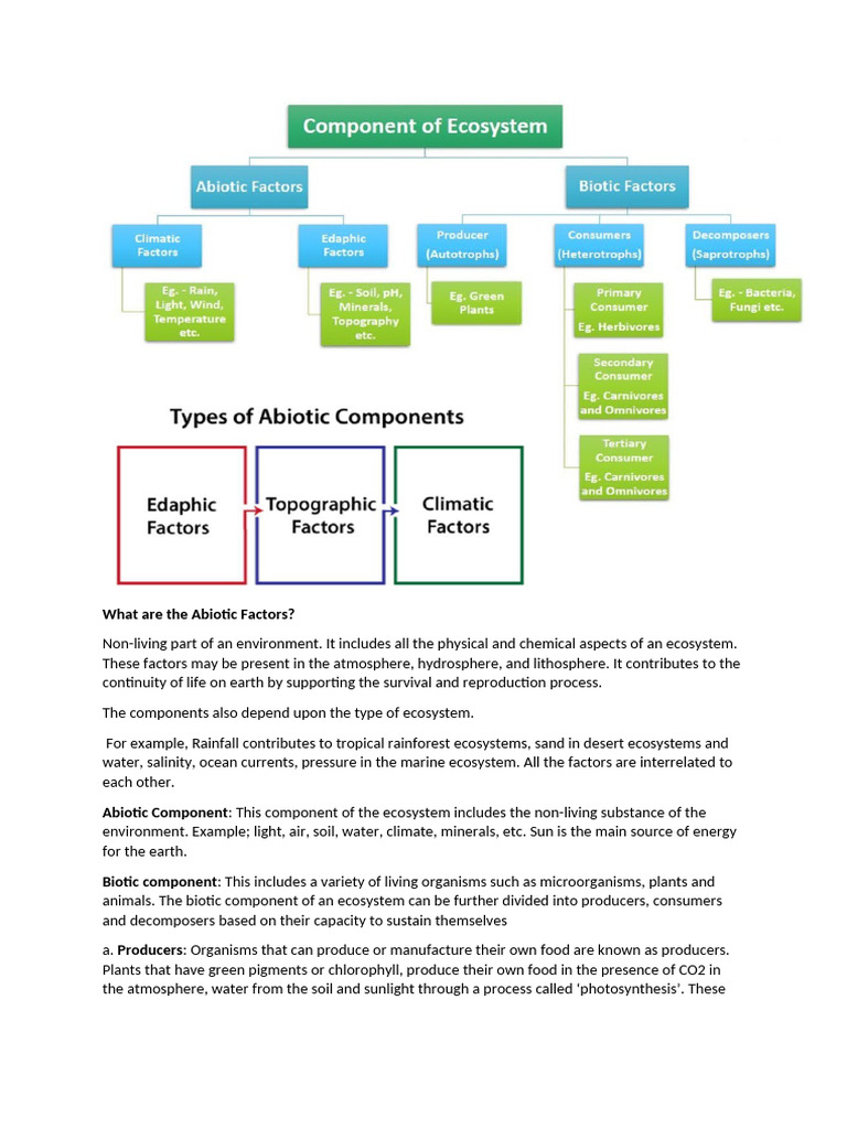 Biotic and Abiotic Components | PDF | Ecosystem | Ecology