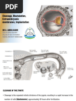 Bilaminar Germ Disc Development Overview | PDF | Embryo | Anatomy