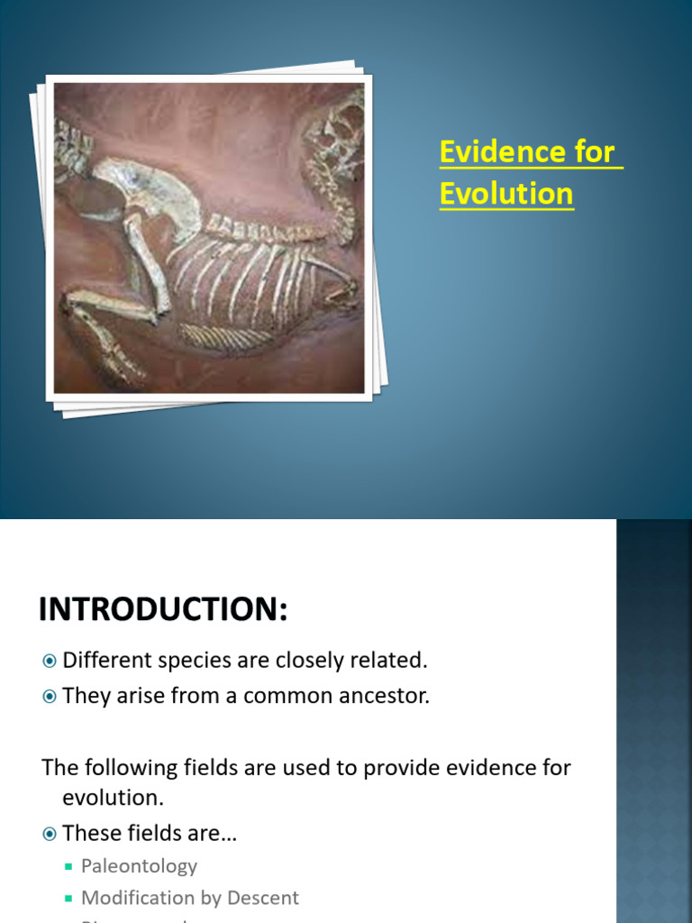 Evidence For Evolution | PDF