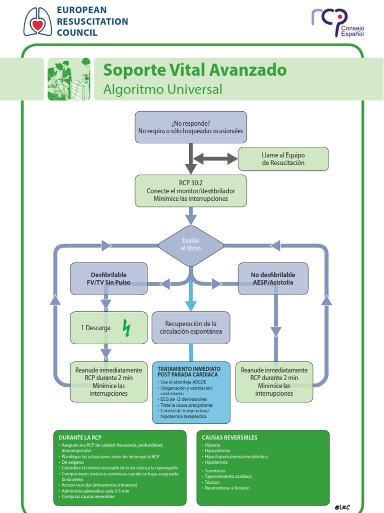Algoritmo SVA | PDF | Salud y bienestar | Ciencia y matemáticas