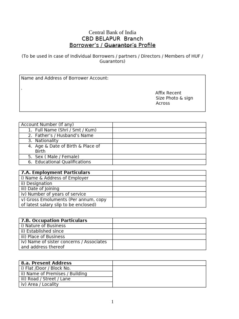 Borrower's & Guarantor's Profile | PDF | Balance Sheet | Banks
