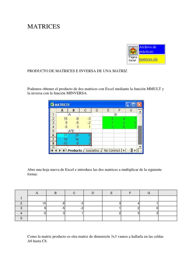 Matrices | PDF | Matriz (Matemáticas) | Microsoft Excel