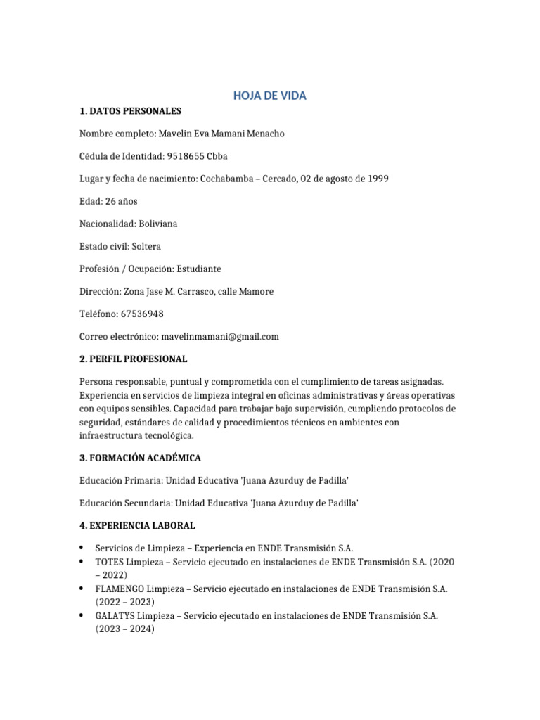Hoja de Vida Mavelin Eva Mamani Menacho-1 (1) | PDF
