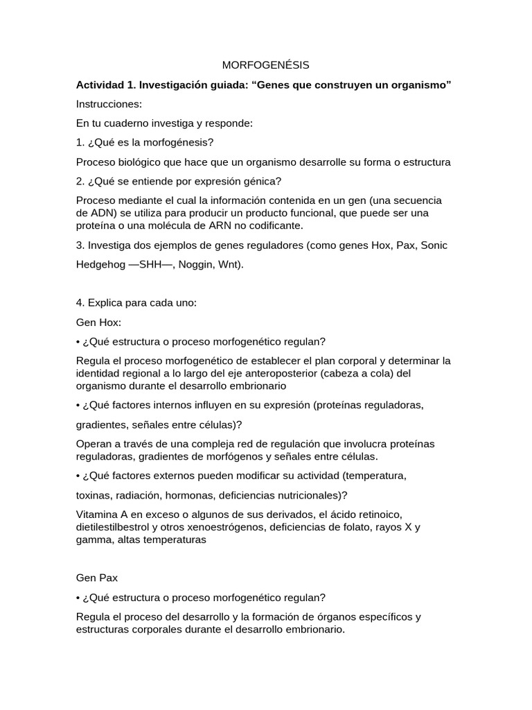 MORFOGENÉSIS | PDF