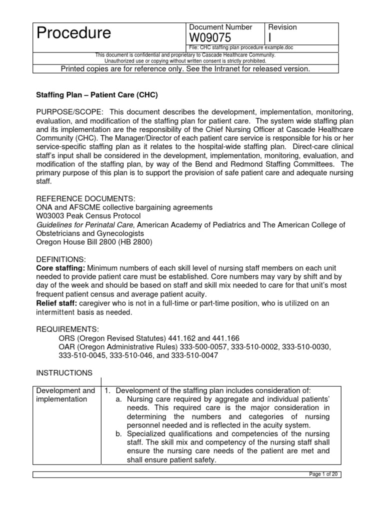CHC Staffing Plan Procedure Example | PDF | Nursing | Competence (Human ...
