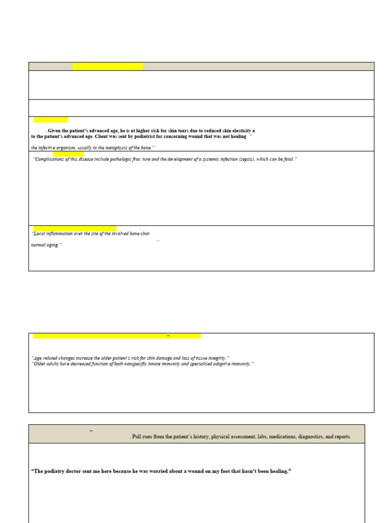 VONGKAYSONE.E. RNSG 2363 CJM Nursing Care Plan | PDF