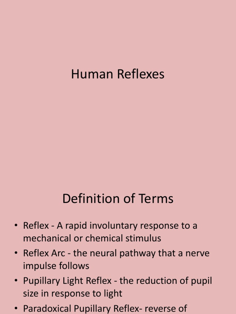 Human Reflex | PDF | Ophthalmology | Neuroscience
