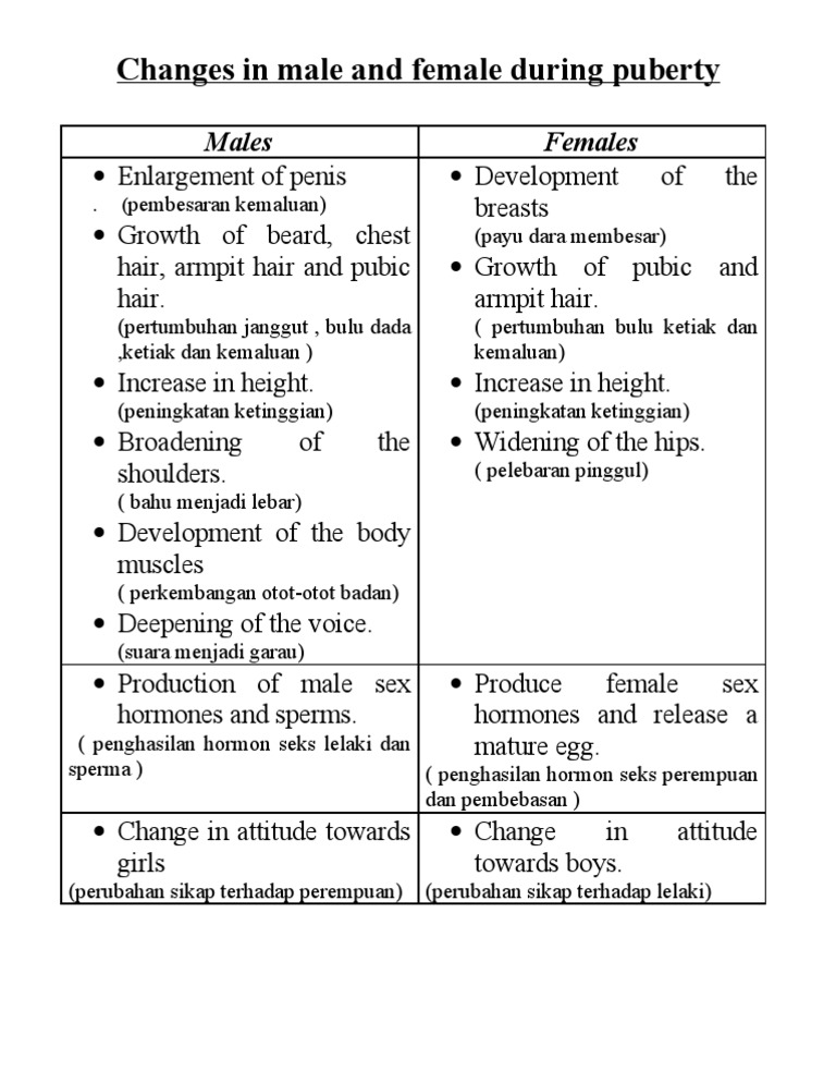 Changes in Male and Female During Puberty | PDF | Wellness | Lifestyle