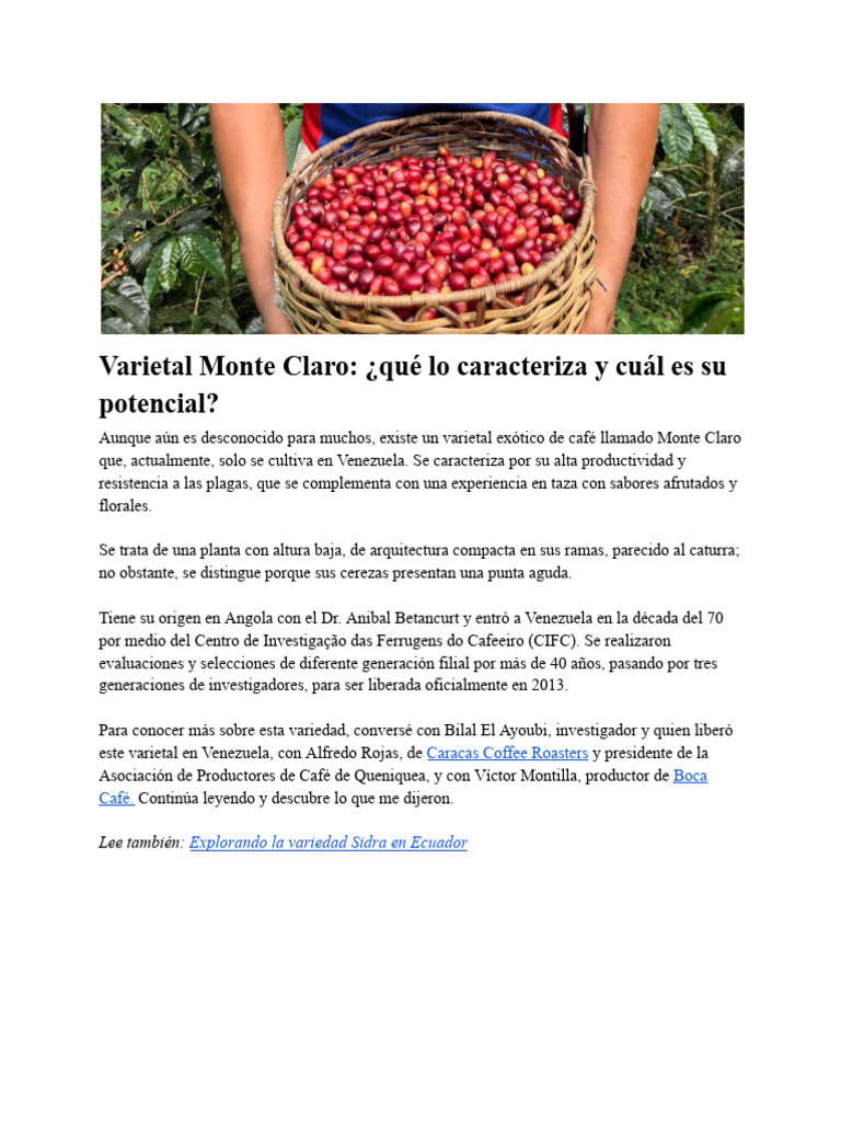 ¿Qué Lo Caracteriza y Cuál Es Su Potencial_.Do | PDF | café