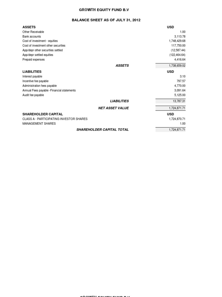 Balance Sheet Format 2 | PDF | Expense | Balance Sheet