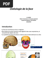 Anatomie des Os du Visage Humain | PDF | Anatomie humaine | Appareil ...