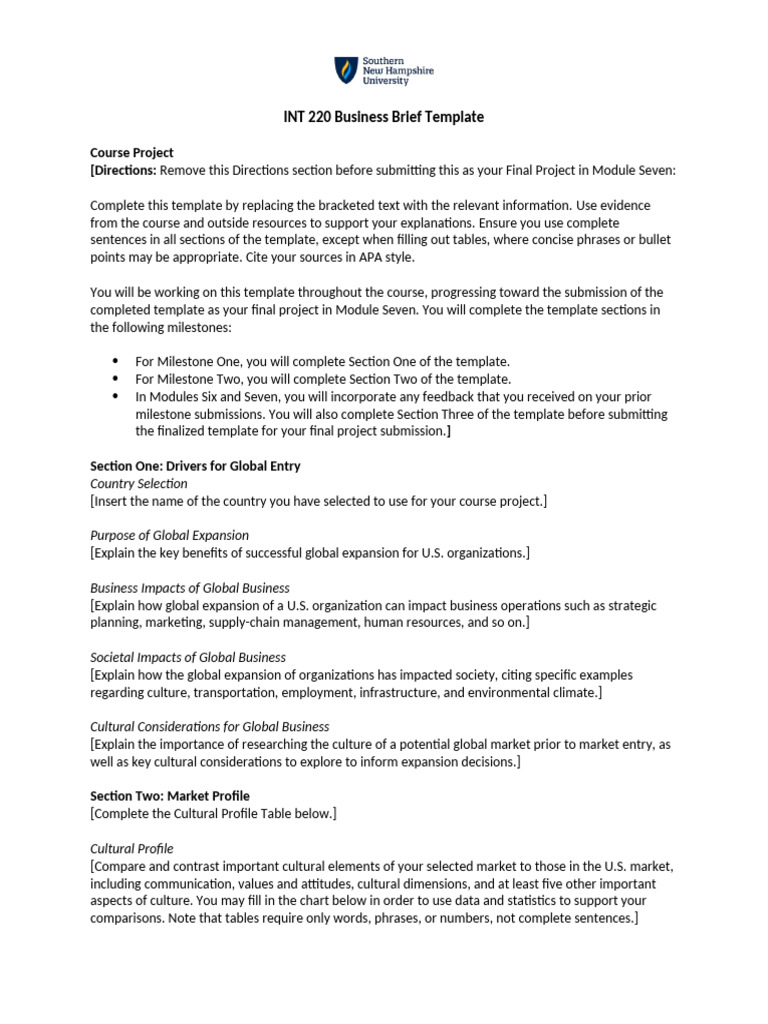 INT 220 Business Brief Template | PDF