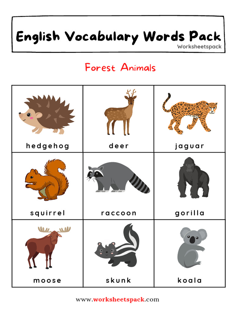 Forest Animals Pictures With Names | PDF