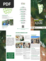 Qué es AJAM en Bolivia | PDF