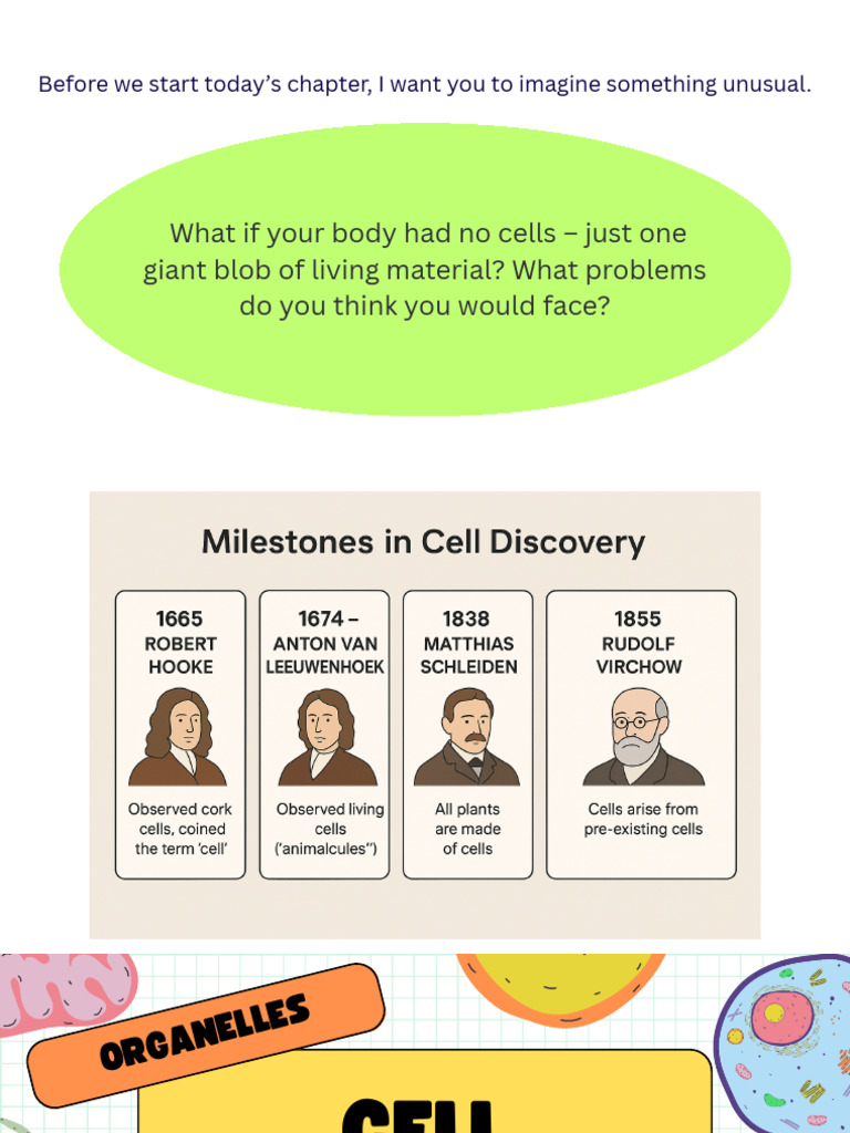 Cell Structure Biology Presentation _20260320_225341_0000 | PDF | Cell ...