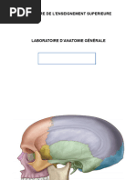Crane de Comorien - Recherche Google | PDF | Partage de média ...