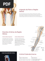 Anatomia da Região Poplítea | PDF | Joelho | Anatomia humana