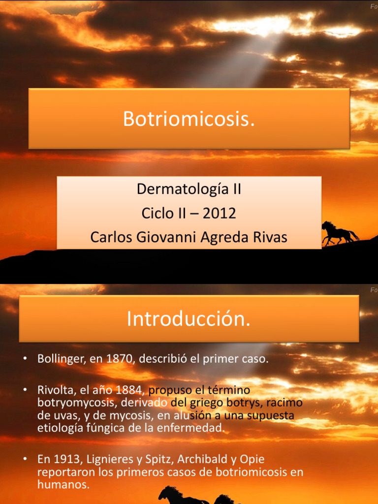Seminario Botriomicosis | PDF | Staphylococcus Aureus | Patologia clinica