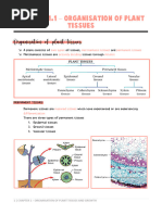 Grade 10 Plant Tissues & Organs Notes | PDF