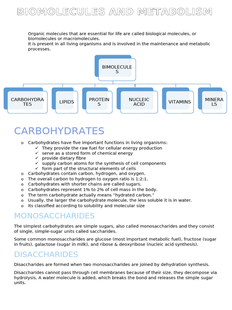 biomolecules | PDF | Carbohydrates | Biomolecules