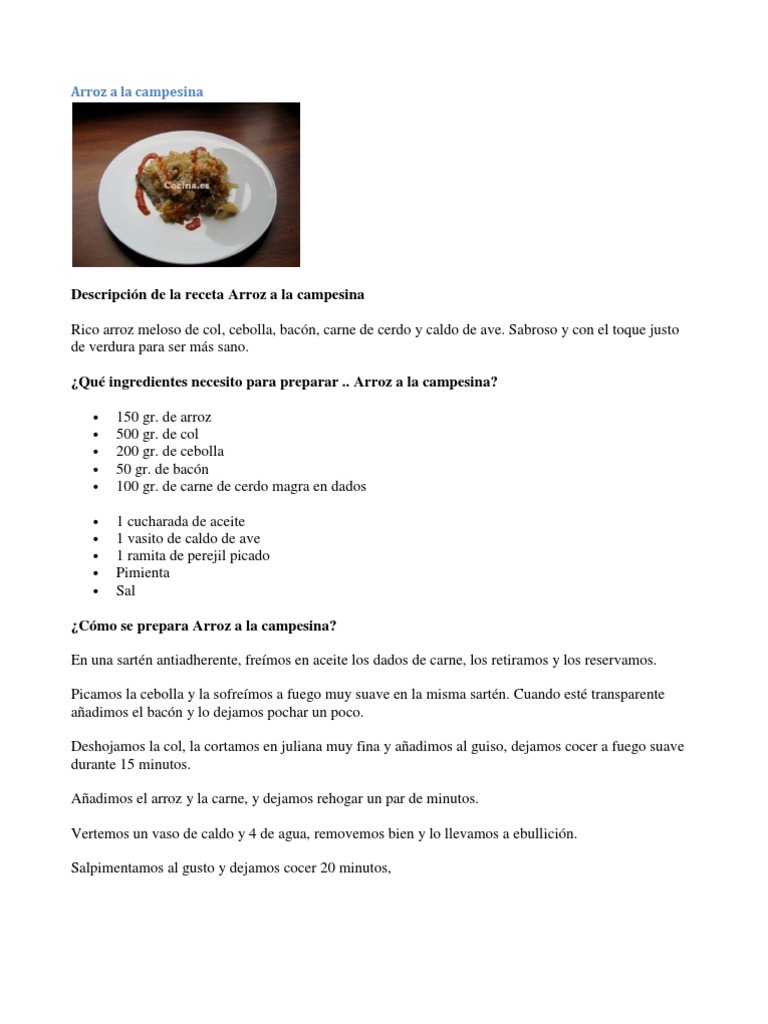 Recetas Variadas de Arroz Deliciosas | PDF | ensalada | Caldo