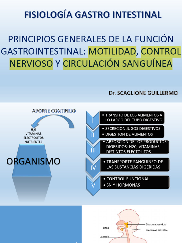 cap 63 DEL LIBRO FISIOLOGIA GENERAL DE GUYTO | PDF
