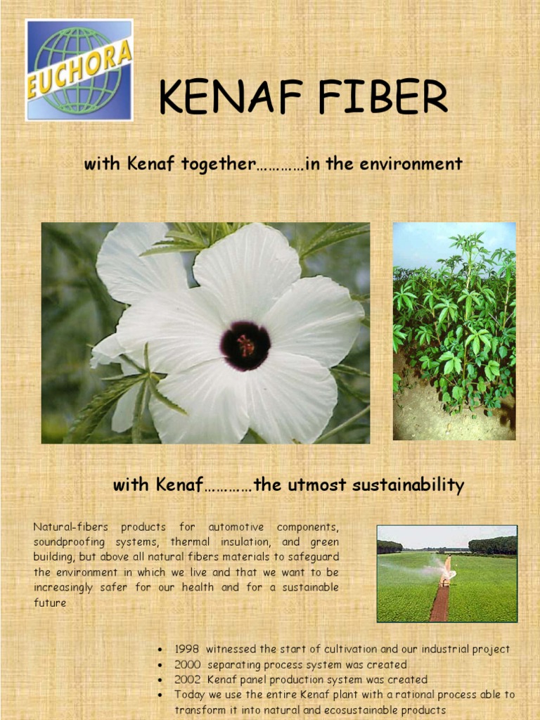Kenaf Fiber