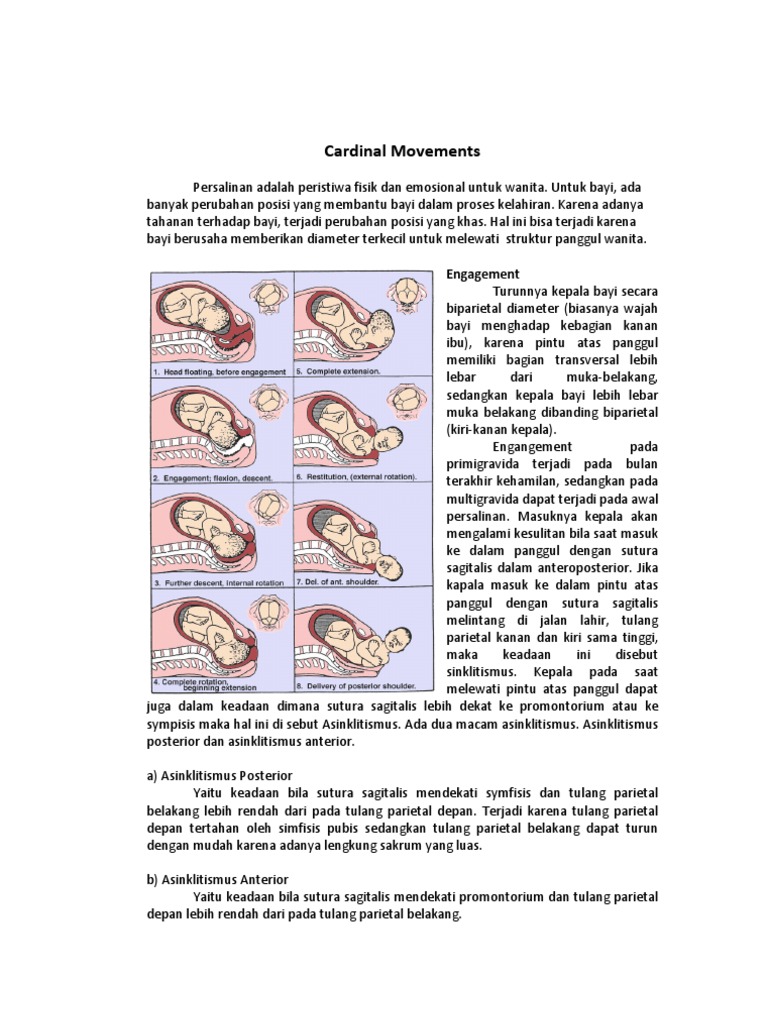 Cardinal Movements | PDF