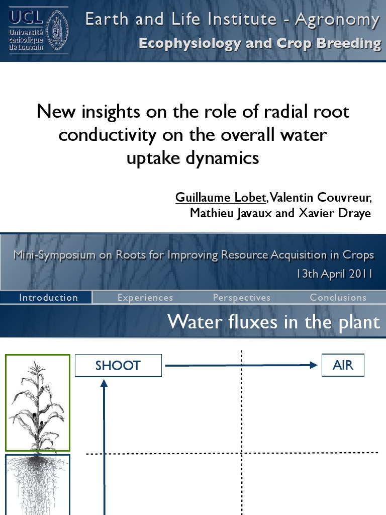Root Radial Conductivity | PDF | Root | Soil