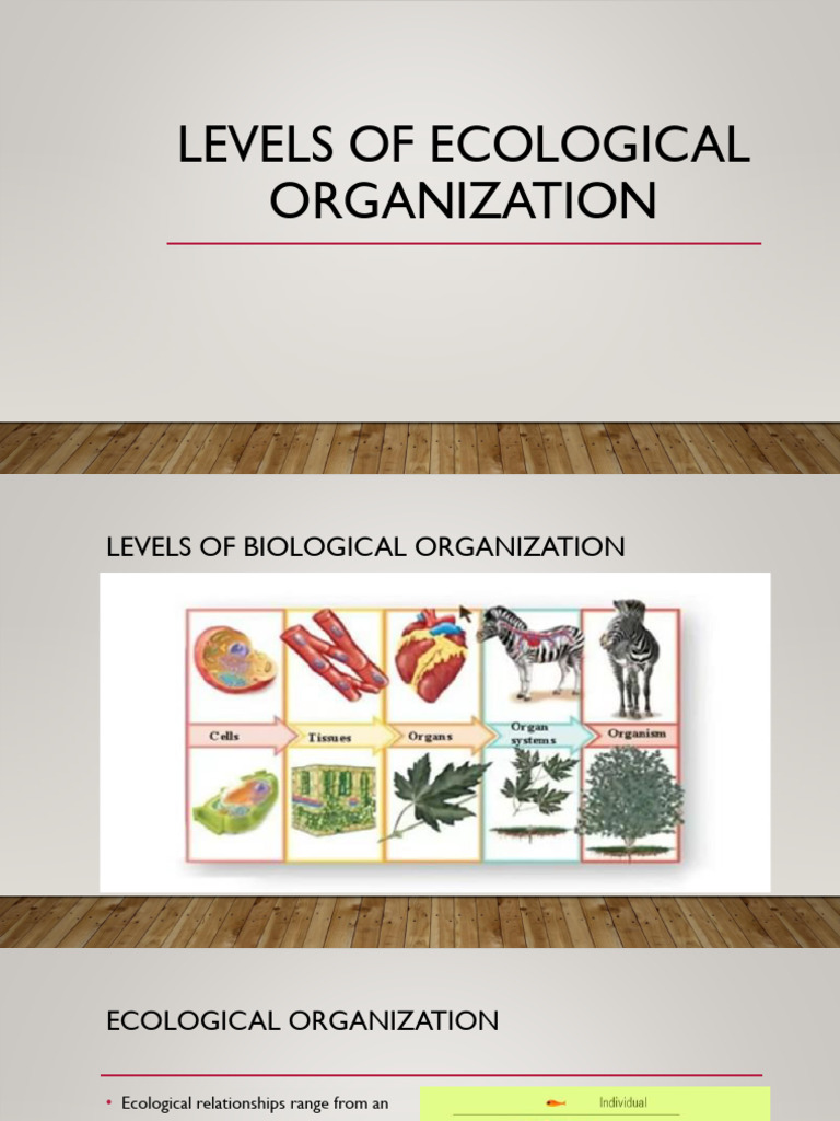 LEVELS OF ECOLOGICAL | PDF