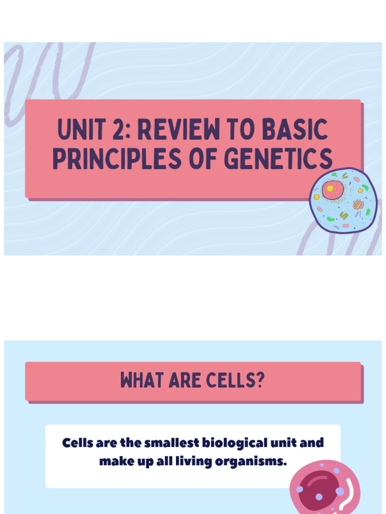 UNIT 2 REVIEW TO BASIC PRINCIPLES OF GENETICS | PDF