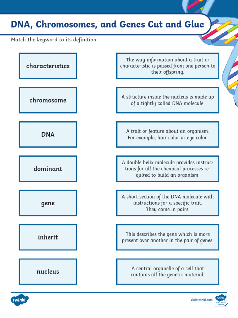 Genes and Inheritance | PDF