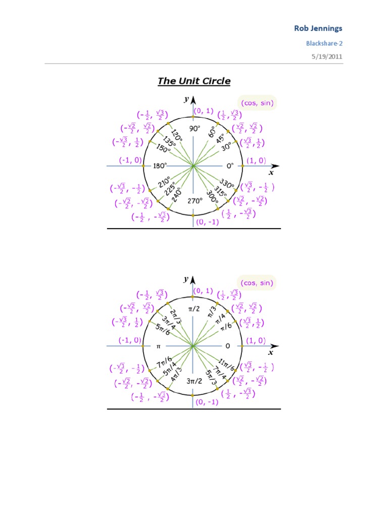 Understanding the Unit Circle Basics | PDF