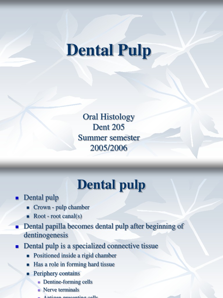 Dental Pulp | PDF | Matrix (Biology) | Cell Biology