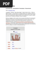 Escala Forrest | PDF | Cirugía | Medicina CLINICA
