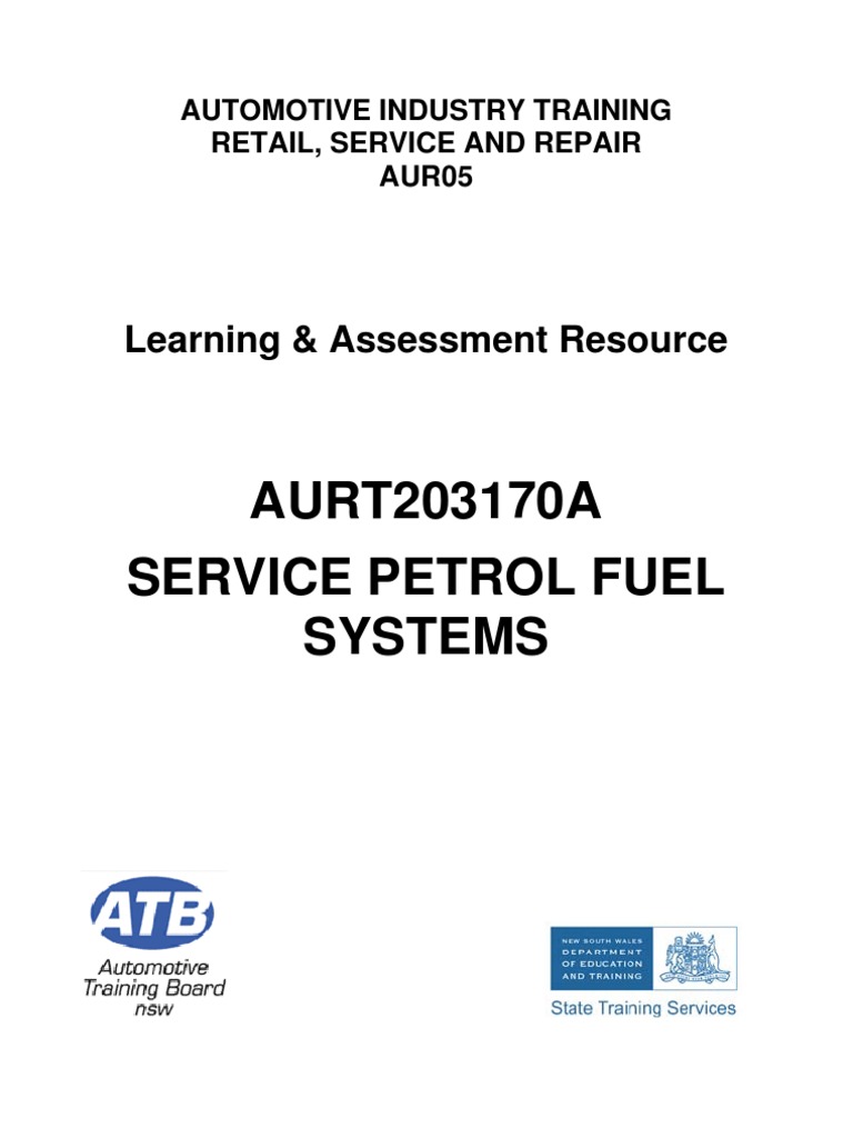 Service Petrol Fuel Systems | PDF | Carburetor | Throttle