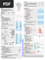 ECG Criteria for STEMI and J-Point | PDF | Electrocardiography ...